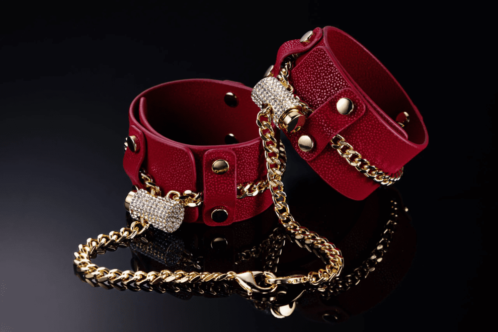 BDSM Art 101: The Complete Beginner’s Guide To BDSM - BeYourLover®